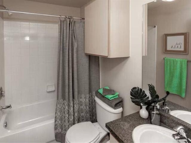 Apartment room available in WL!