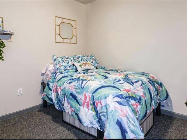 Apartment Rental near USF