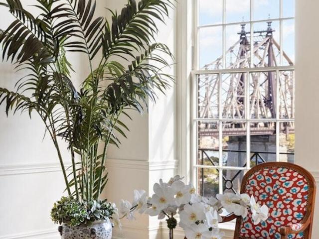 apartment with 4 bedroom, Midtown East NY DLS102244103