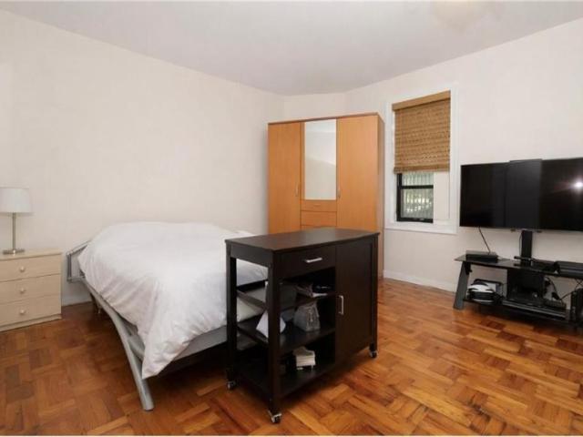 apartment with 1 bedroom, Brooklyn NY DS100555075