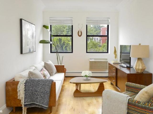 apartment with 1 bedroom, Greenpoint NY DS89542895
