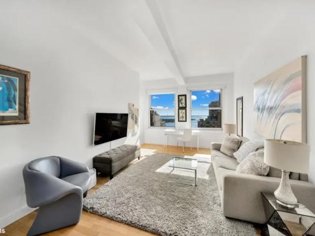 apartment with 1 bedroom, Financial District NY DS102715833