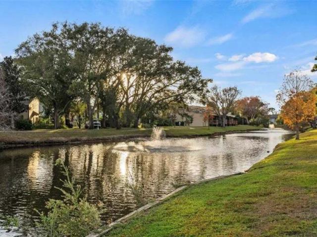 apartment with 3 bedroom, FL FL DS102587712