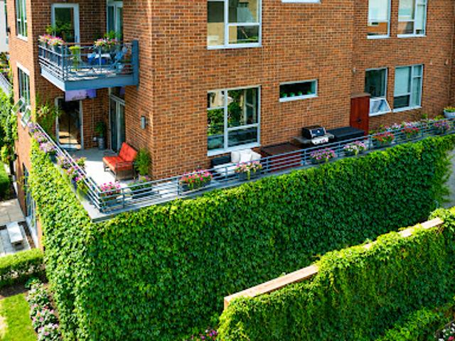 Apartment with terrace