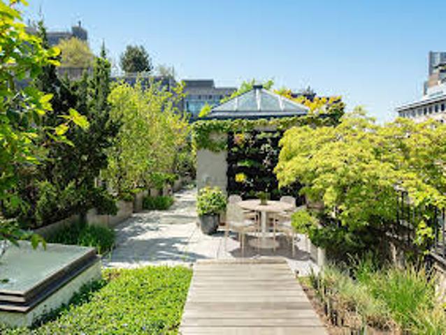 Apartment with terrace