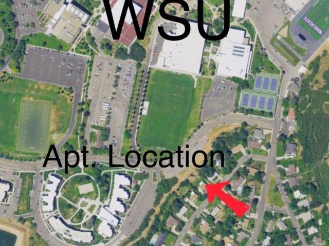 Apartment to share next to WSU