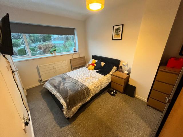 apartment to rent