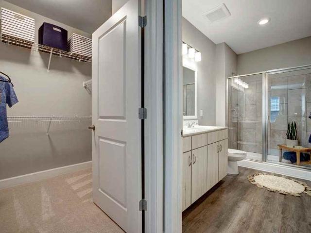 Apartments at Eleven240 3 Bedroom Apartment for Rent at 11240 Woolwich St, Charlotte, NC 28216 Wedgewood