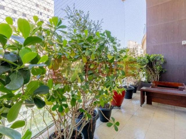 Apartamento 4 suíte em Perdizes