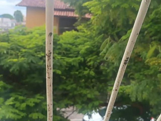 Apartamento para venda em Padre Eustáquio, Belo Horizonte