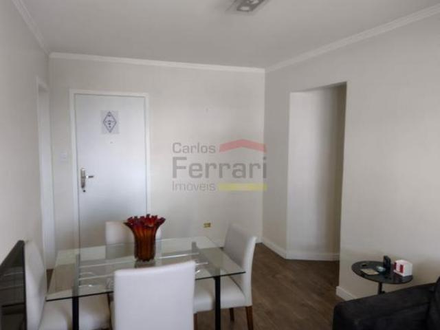 Apartamento 01 quarto no bairro do Cambuci SP
