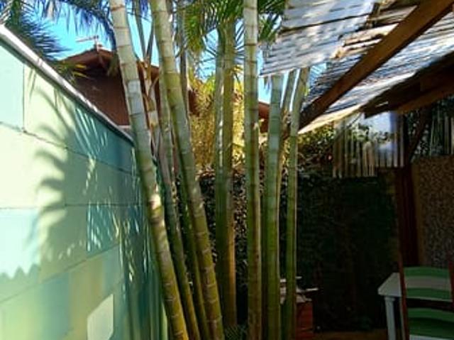 APARTAMENTO 1 DORMITORIO