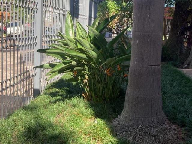 Apartamento 1 dormitórios à venda Petrópolis Porto Alegre/RS
