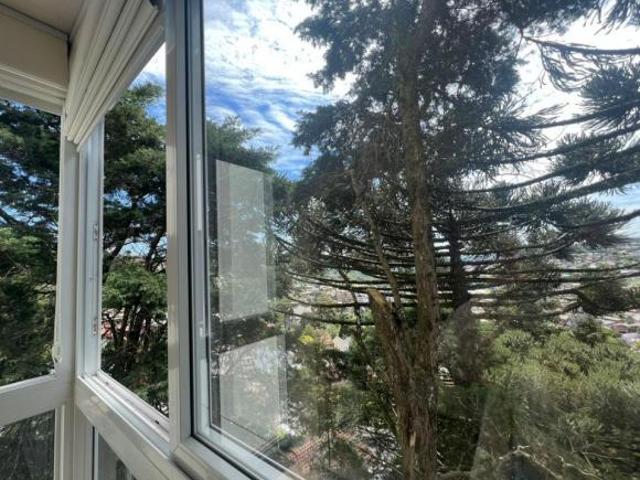 Apartamento 2 Dorm Bairro Centro
