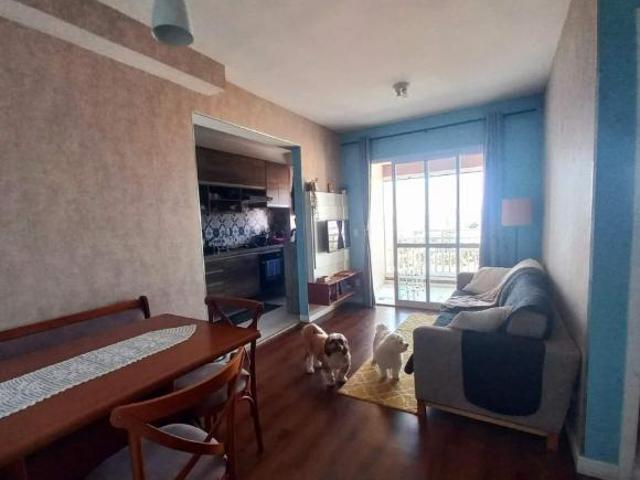 Apartamento 2 Dormitórios com 1 Suíte no Jardim Stella, Santo André – Pronto para Morar