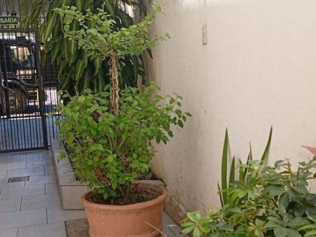 Apartamento 2 dormitórios, terreno elevado, lateral, bairro cidade baixa Porto
