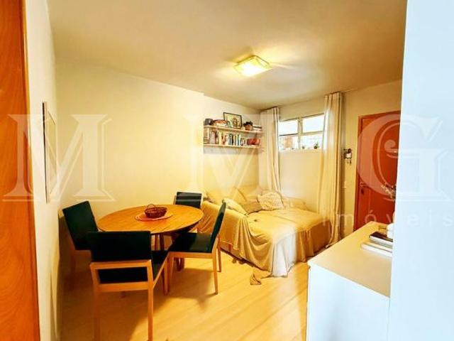 Apartamento, 2 dormitórios, vaga fixa, livre frente, 60 útil, ótimo