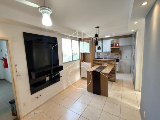 Apartamento 2 Dormitórios, 1 Banheiro e 1 Vaga no Jardim Califórnia, Marília