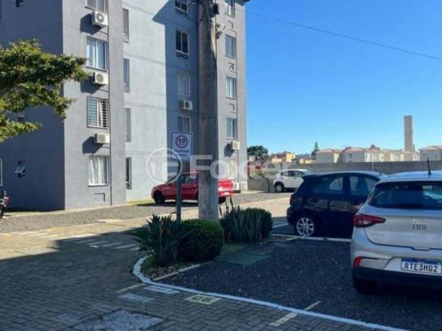 Apartamento, 2 dormitórios, 43.36 m², em Morro Santana