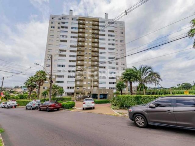 Apartamento, 2 dormitórios, 67.5 m², em Jardim Carvalho