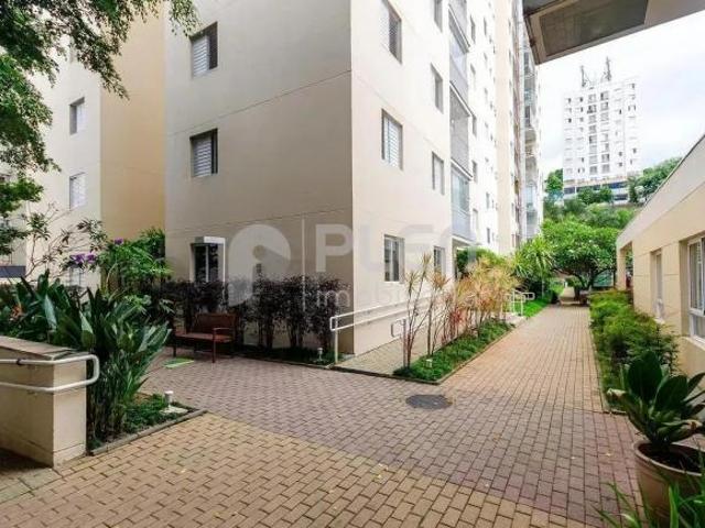 Apartamento 2 quartos, à venda, Freguesia do Ó, São Paulo, SP