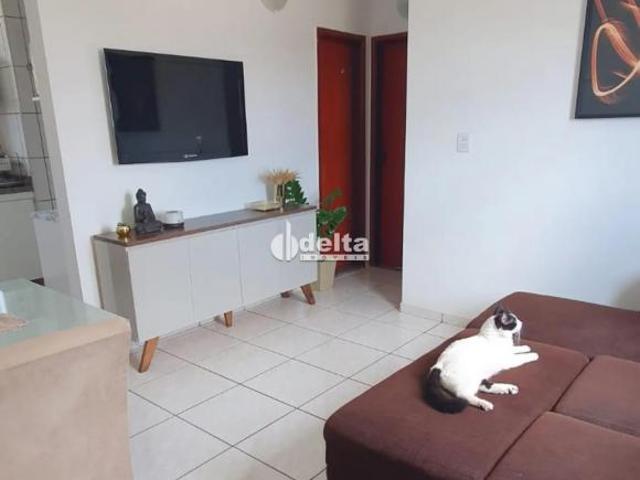 Apartamento 2 quartos disponível para Venda no bairro Chácaras Tubalina e Quartel em Uberlândia MG