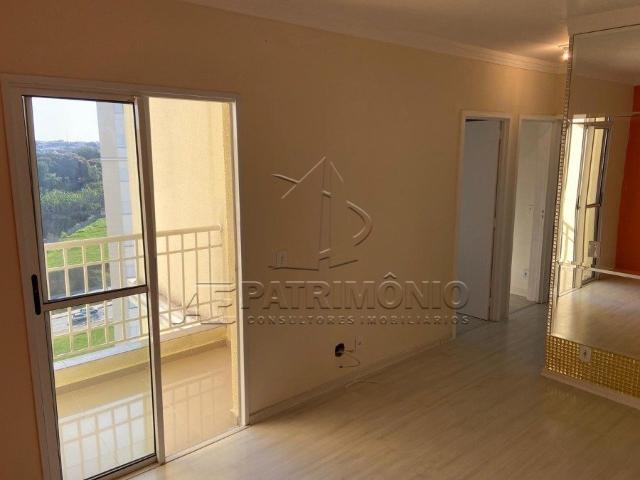 Apartamento 2 Quartos Odim Antão 55m²