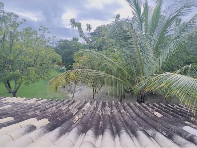 Apartamento 2 quartos locação anual Praia do Forte Ba