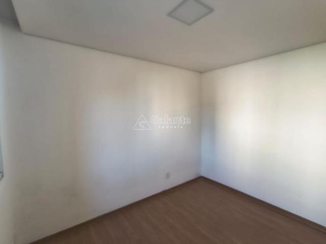 Apartamento 2 quartos locação – Jardim Nova Europa – Campinas/SP