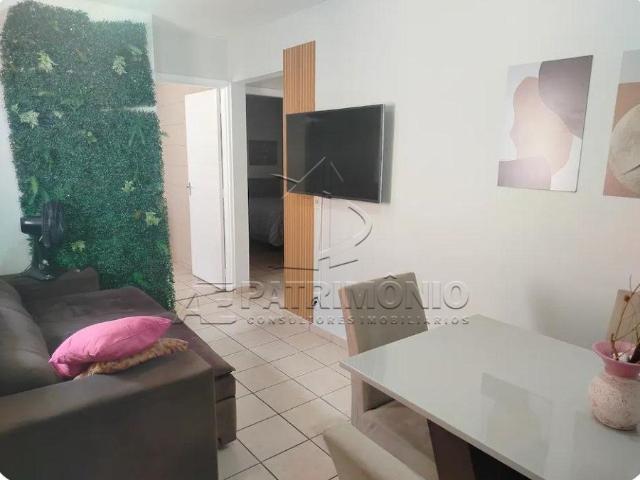 Apartamento 2 Quartos Morumbi 50m²