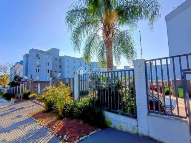 Apartamento 2 quartos no Jardim Leopoldina com vaga e desocupado