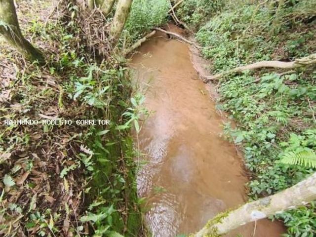 Chácara para Venda em Munhoz, Centro, 3 dormitórios, 1 suíte, 2 banheiros