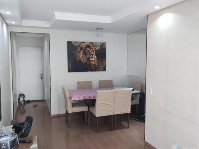 Apartamento 3 dormitório s em Vila Floresta