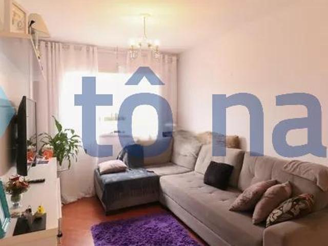 Apartamento 3 dormitório s em Vila Palmares