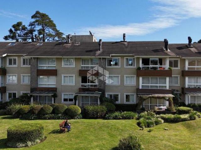 Apartamento 3 dormitórios no Laje de Pedra, Canela/RS