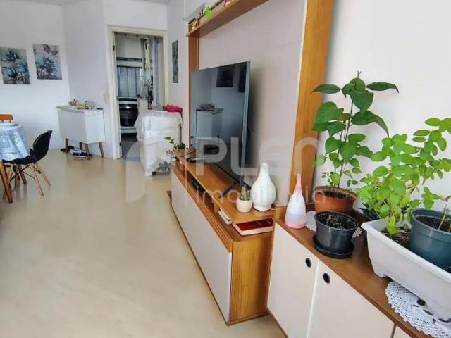 Apartamento 3 dormitórios à venda, Cambuci, São Paulo, SP