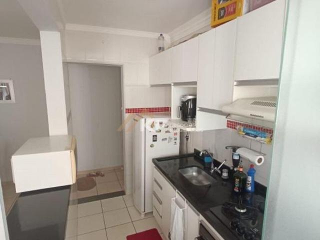 Apartamento Térreo Recanto Lagoinha Ribeirão preto /SP