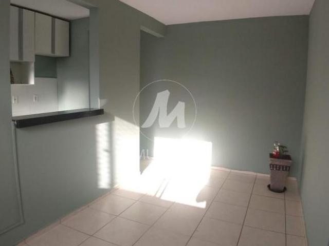 Apartamento tipo padrao 2 dormitórios, cozinha planejada, portaria 24 horas, lazer, espaço gourm