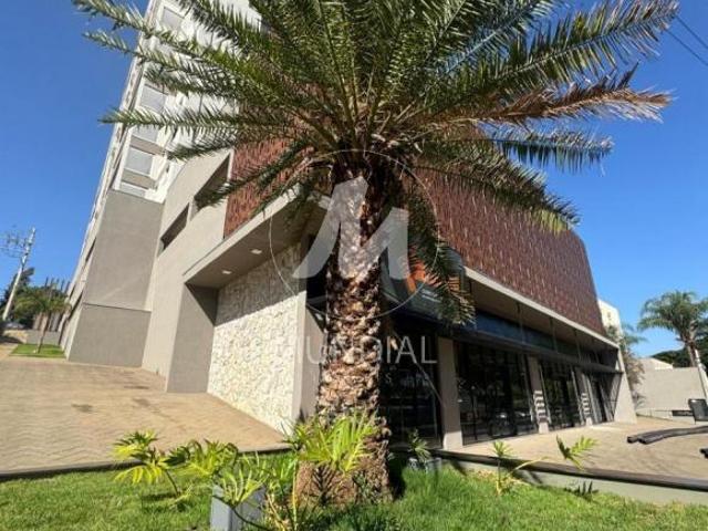 Apartamento tipo padrao 2 dormitórios/suite, cozinha planejada, portaria 24 horas, elevador, em