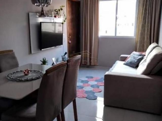 Apartamento venda Casa Branca Residencial predileto