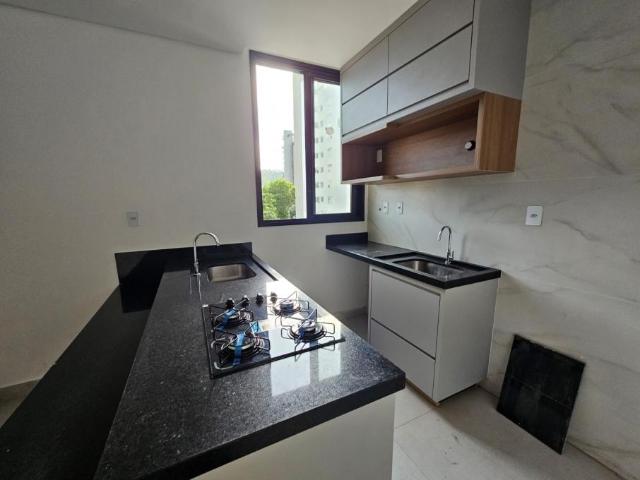 Apartamento Venda Ipatinga MG Horto