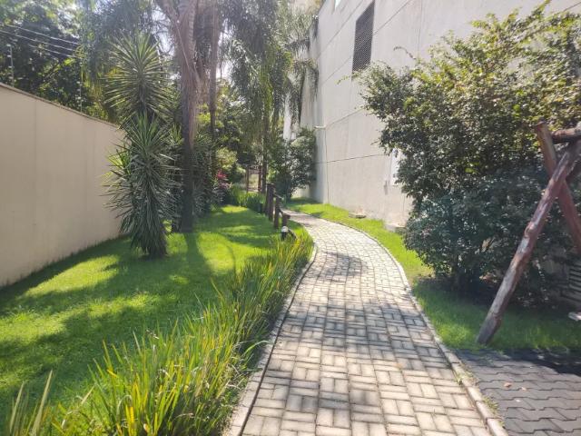 Apartamento à venda jardim avelino