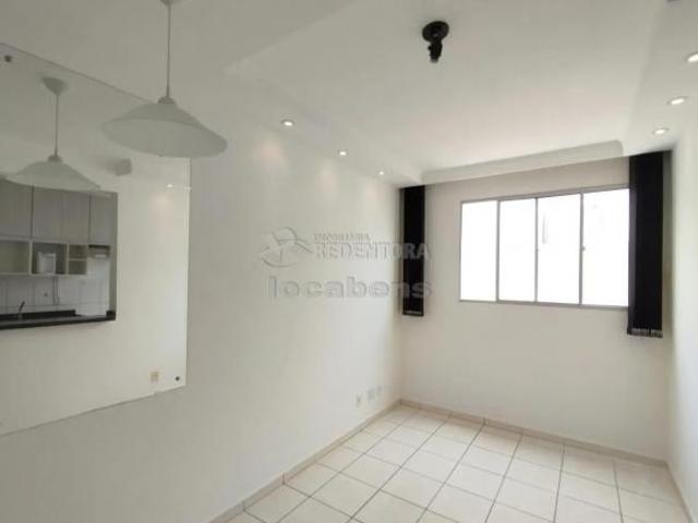 Apartamento Venda Parque Rio das Pedras