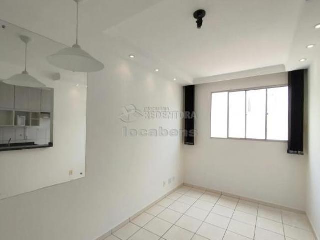 Apartamento Venda Parque Rio das Pedras