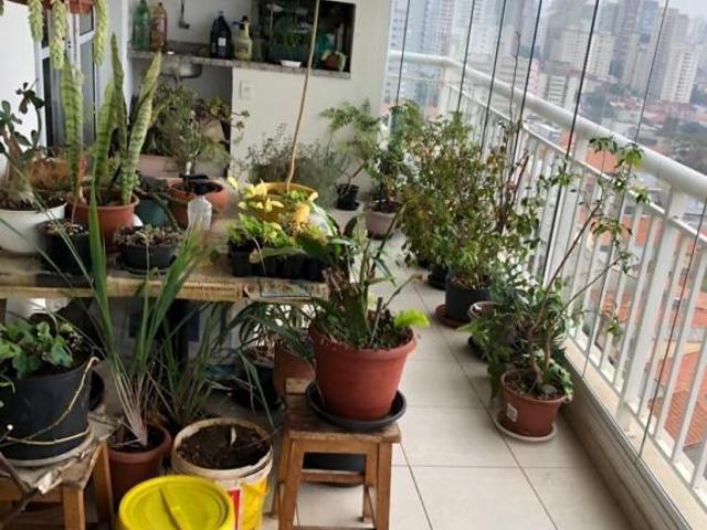 Apartamento, Vila Mariana, Sp, SP