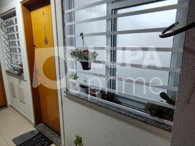 Apartamento, Vila Mazzei São Paulo