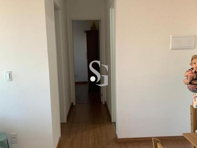 Apartamento, Vila Miguel Vicente Cury, Campinas, SP