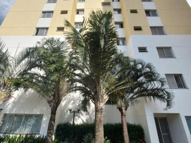 Apartamento, Vila Milton Guarulhos