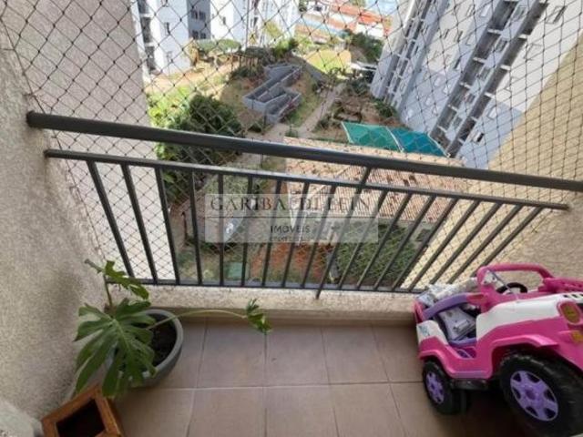 Apartamento, Vila Mimosa, Campinas, SP