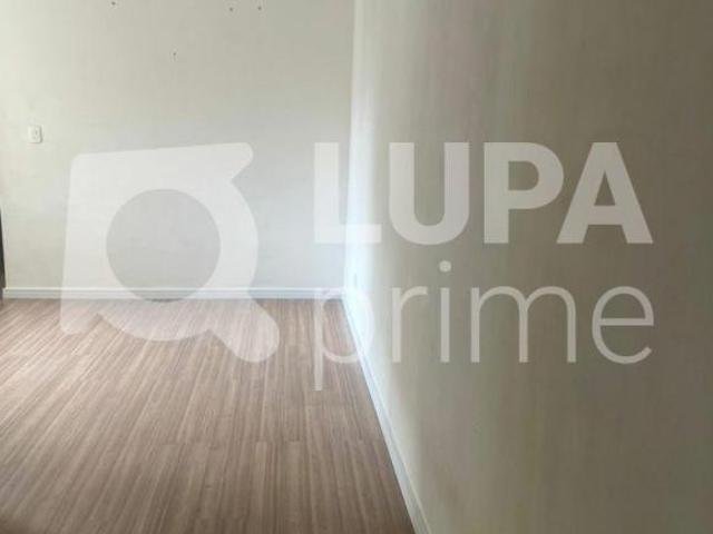 Apartamento, Vila Nova Cachoeirinha São Paulo